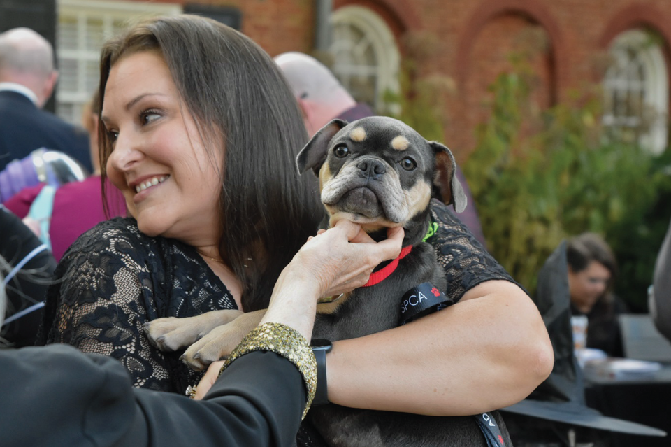 Brandywine Valley SPCA | Gala