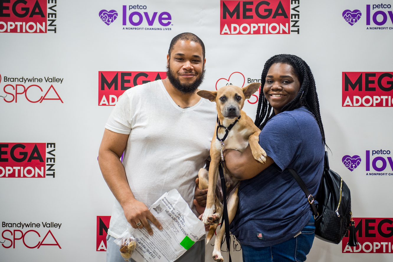 Brandywine Valley SPCA | Modernizing Animal Services in DC
