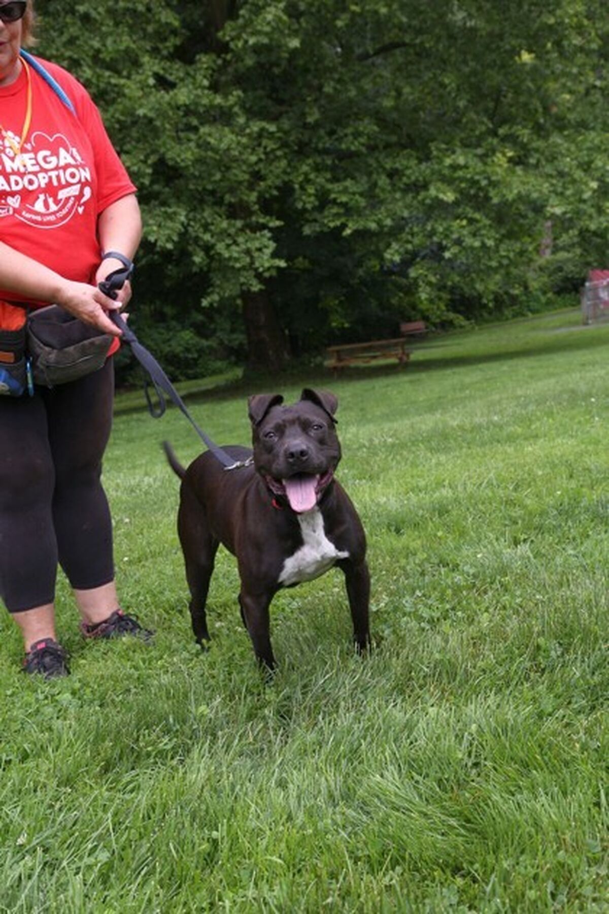 Brandywine Valley SPCA | Spade